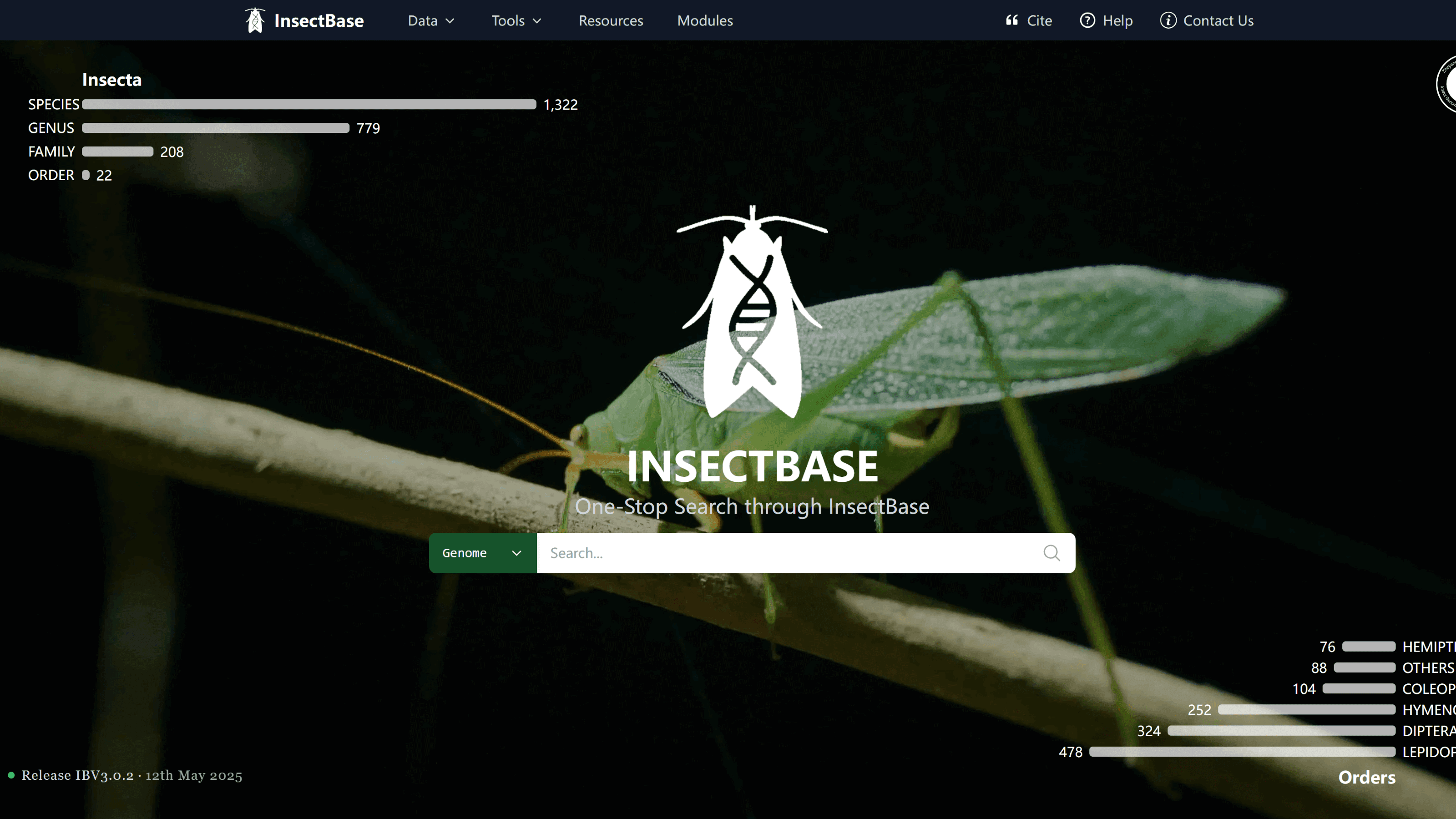 INSECTBASE